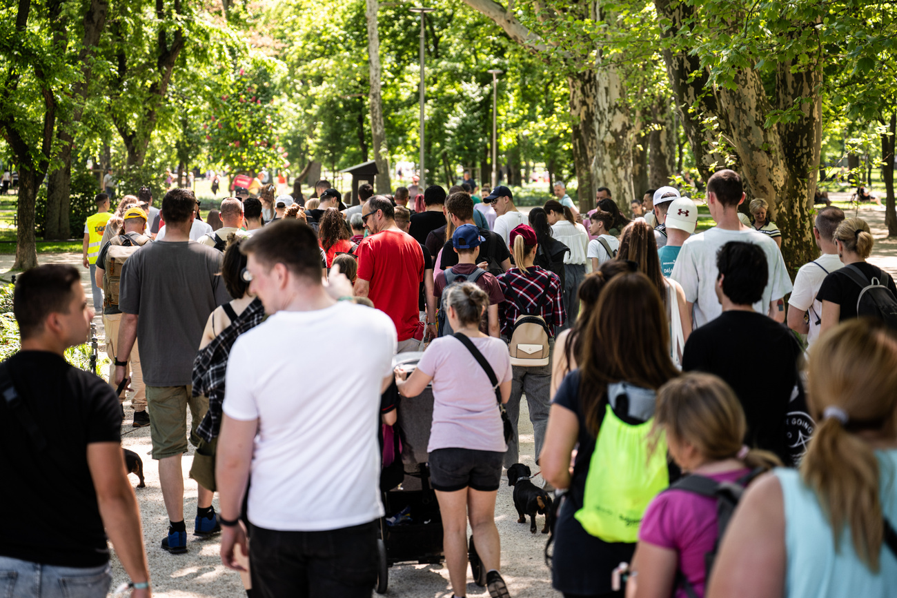 Index – Magyar rekord, ennyi tacskót még biztosan nem láttunk egy ...