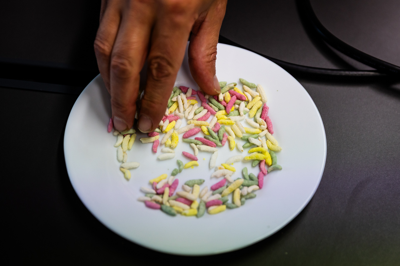 Index – Zizi tesztelés az Index szerkesztőségében – Galéria