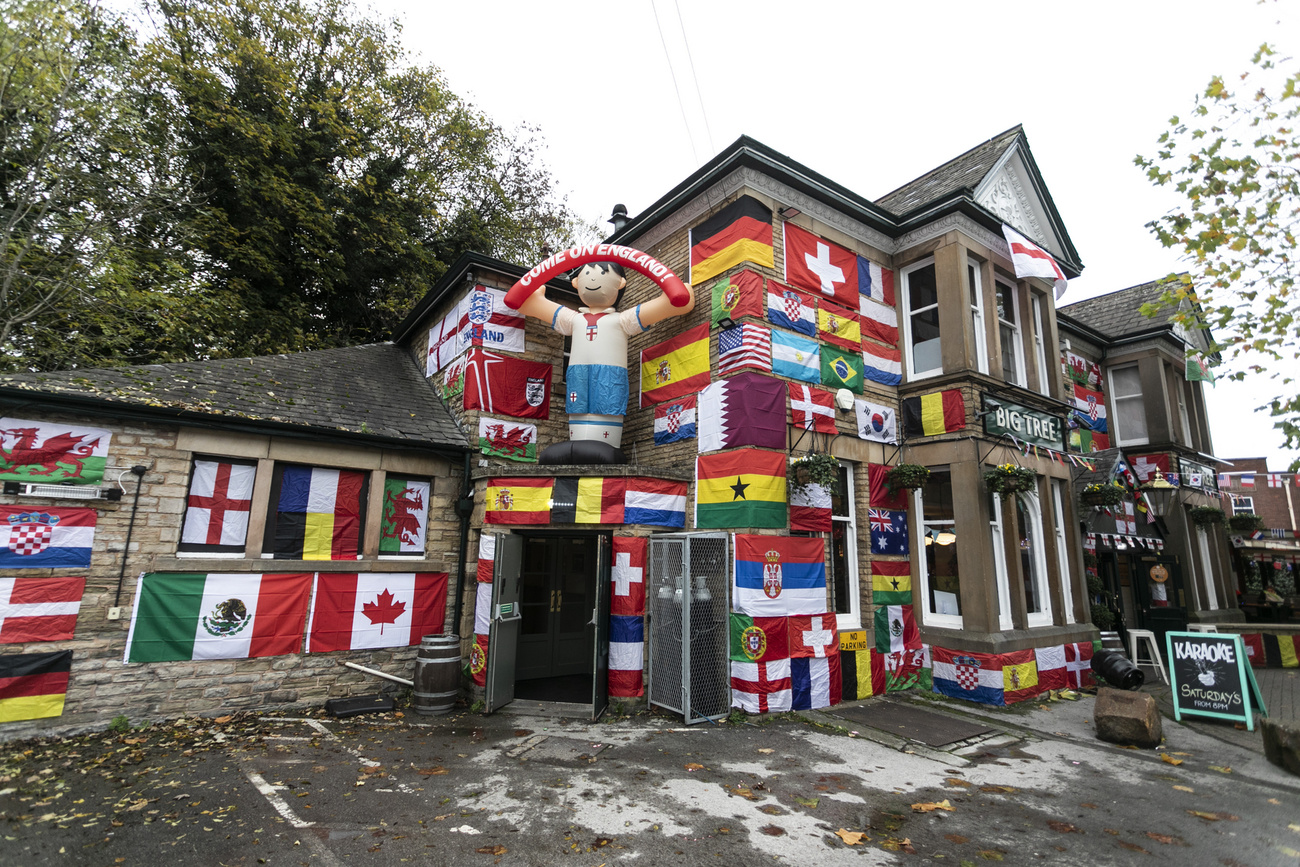 Index – The Big Tree pub – Galéria