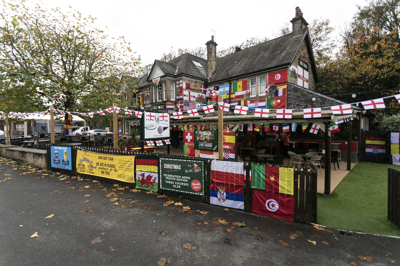 Index – The Big Tree pub – Galéria