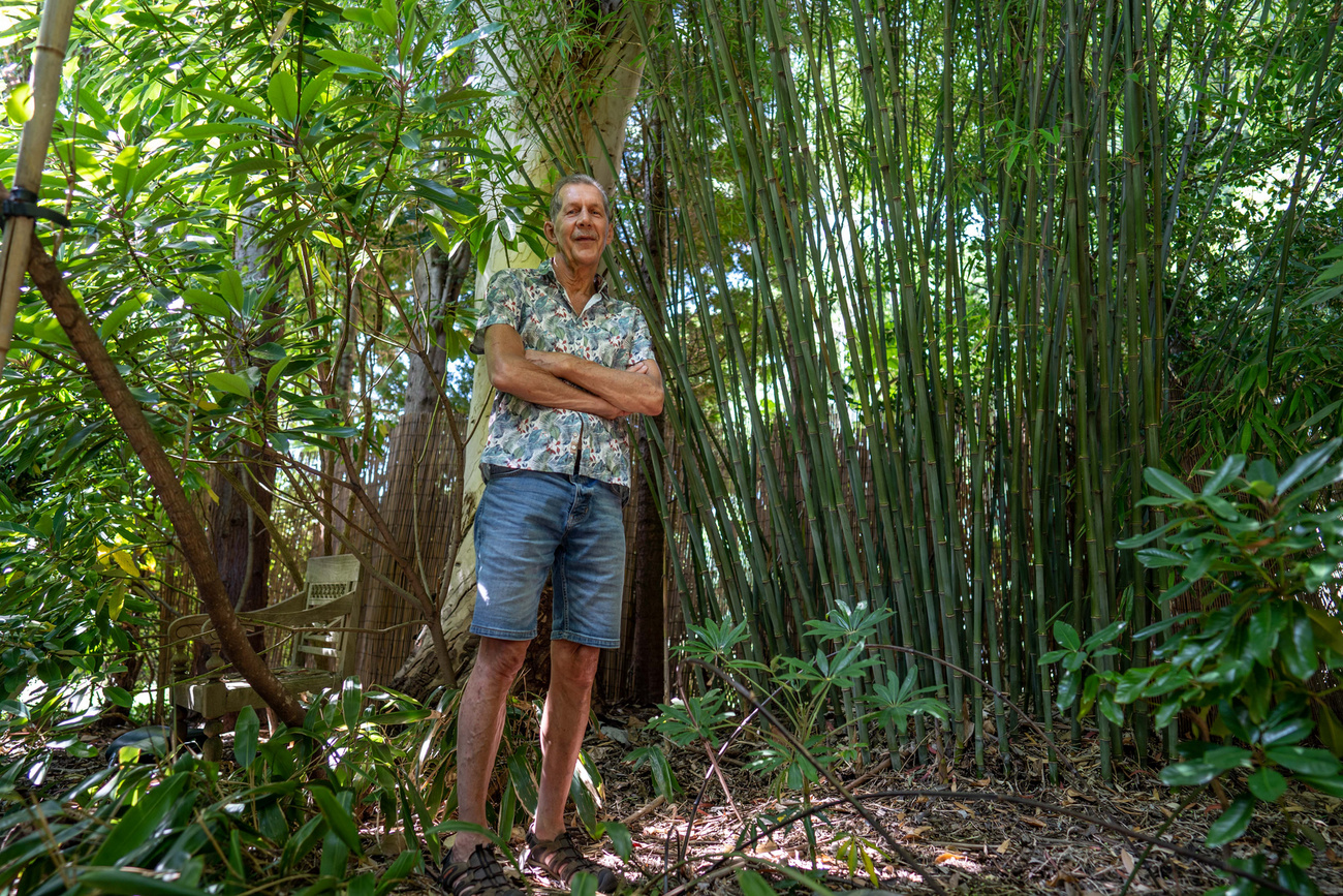 Index – Dr. Simon Olpin a hatalmas dzsungel-szerű kertjében – Galéria