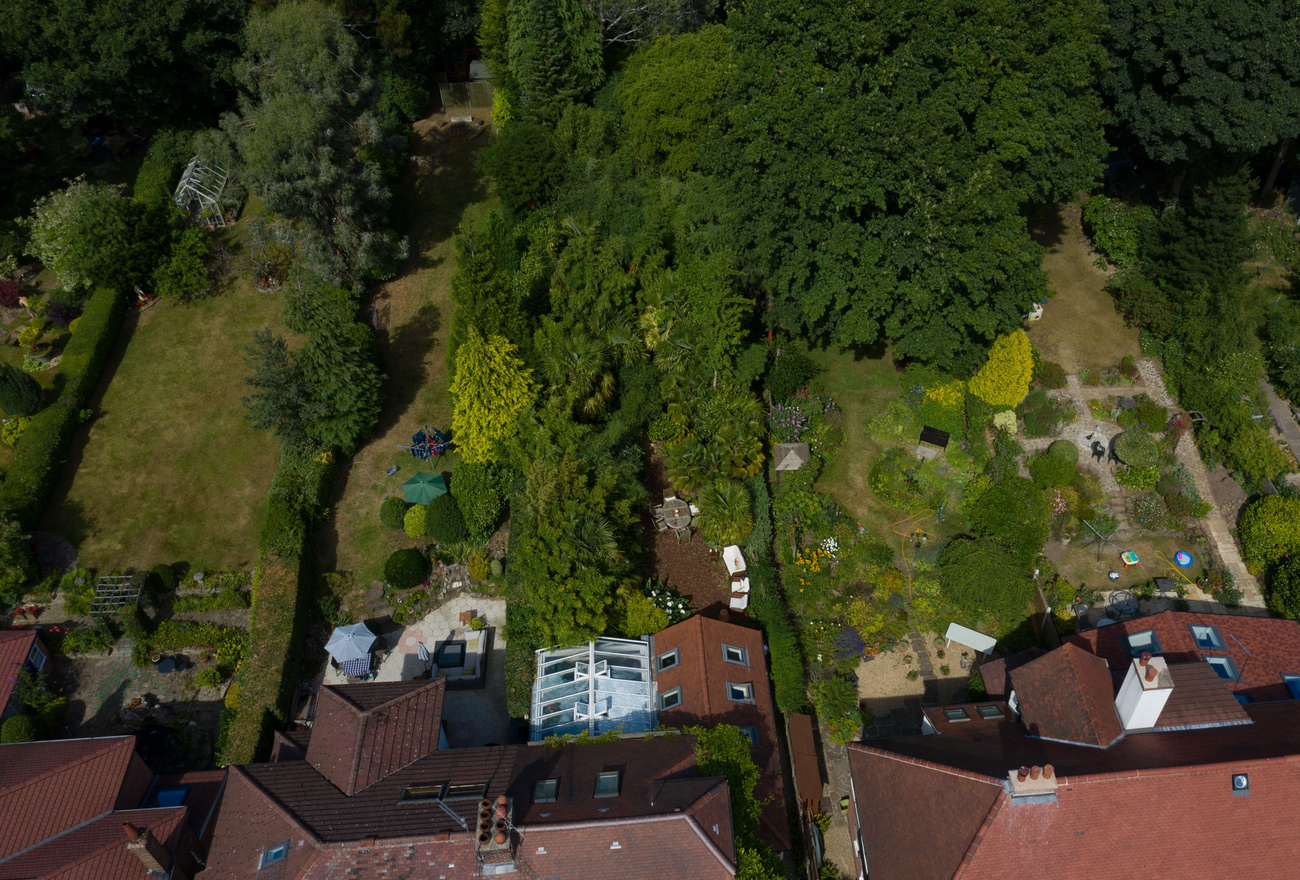 Index – Dr. Simon Olpin a hatalmas dzsungel-szerű kertjében – Galéria