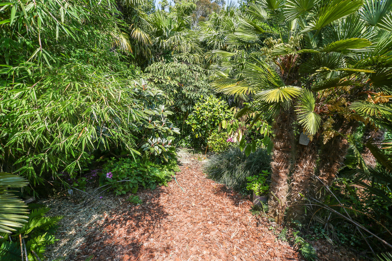 Index – Dr. Simon Olpin a hatalmas dzsungel-szerű kertjében – Galéria