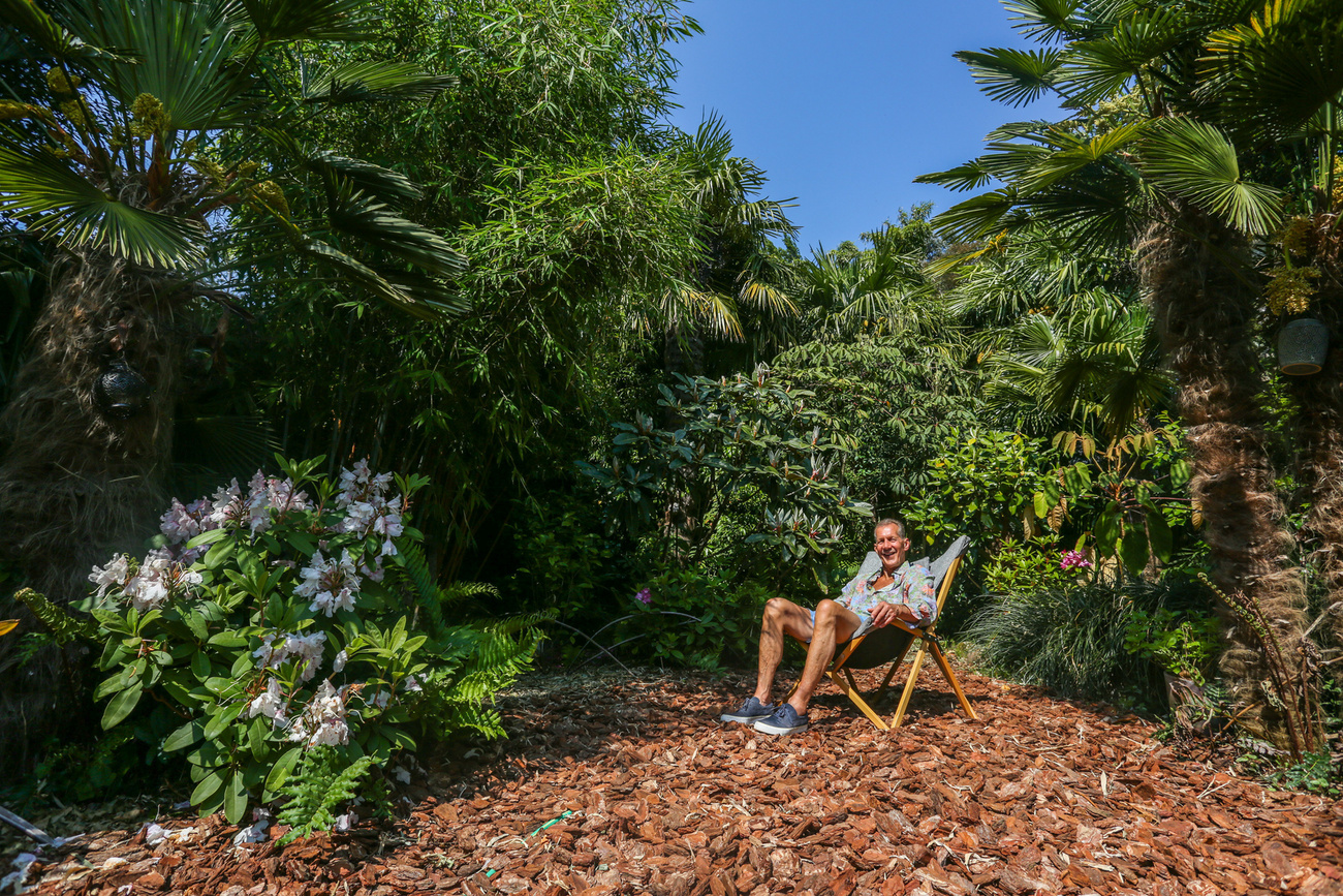 Index – Dr. Simon Olpin a hatalmas dzsungel-szerű kertjében – Galéria