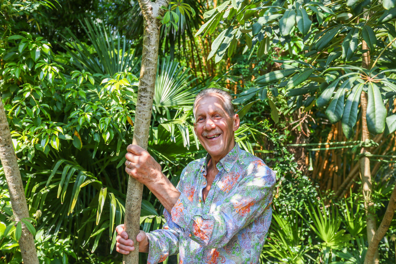 Index – Dr. Simon Olpin a hatalmas dzsungel-szerű kertjében – Galéria