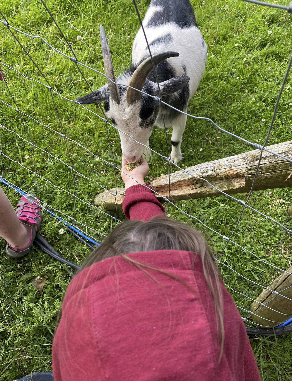 Index – Hannah Megan egyedi nevelési szokása – Galéria
