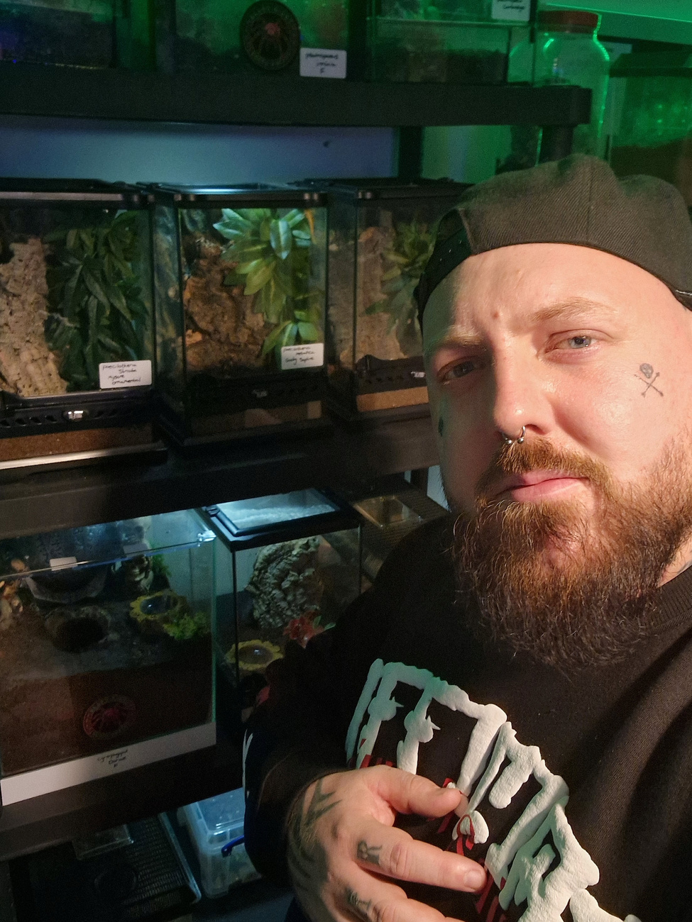 Index Aaron Phoenix Több Mint 700 Tarantulával él Egy Fedél Alatt