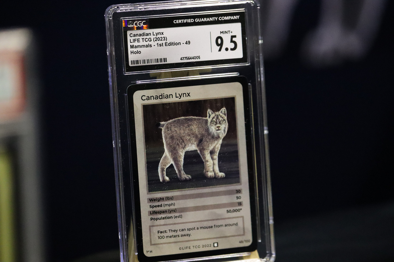 Index – London Card Show – Galéria